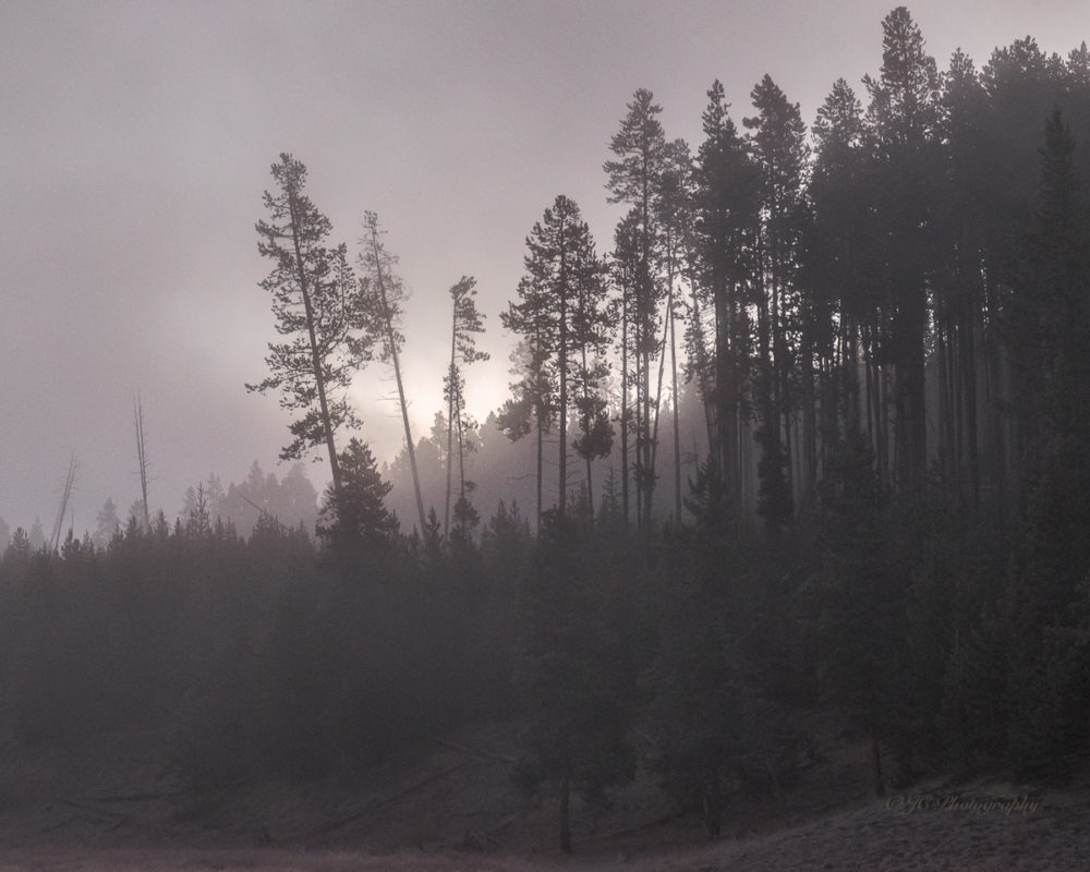 Firehole Sunrise - Wilderness Walks