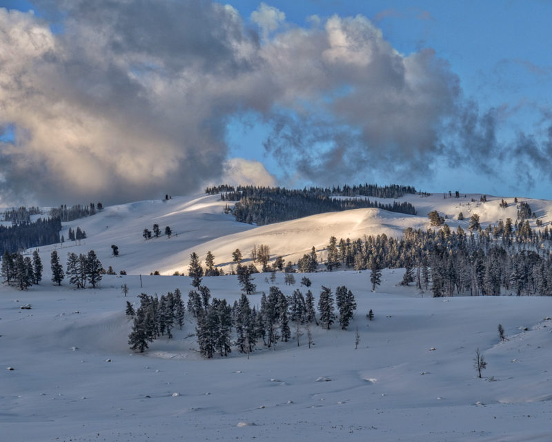 Ride~About: Winter Weather Hodgepodge - Wilderness Walks