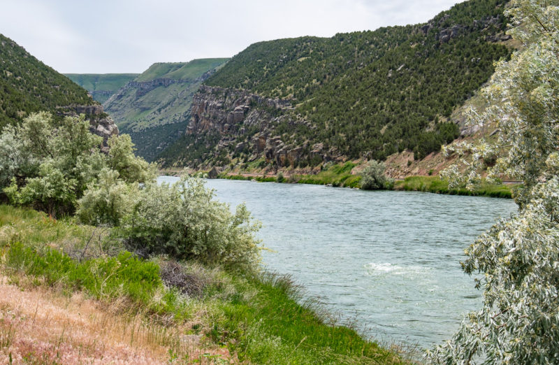 Wind River Canyon-3 Billion Years in 14 Miles - Wilderness Walks